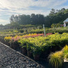 Garden Center | Myrtle Beach, SC | Southern Scapes Landscaping & Garden ...